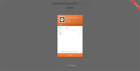 Laravel 10 Razorpay Payment Gateway Integration Example Danatec