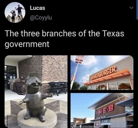 Lucas The Three Branch Government Es Of The Texas Ifunny