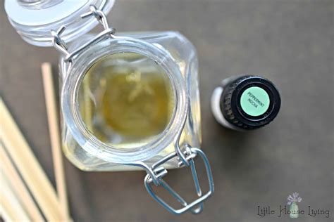 Make Your Own Essential Oil Diffuser In Minutes Homemade Oil Diffuser
