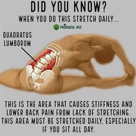 Quadratus Lumborum Muscle Stretch