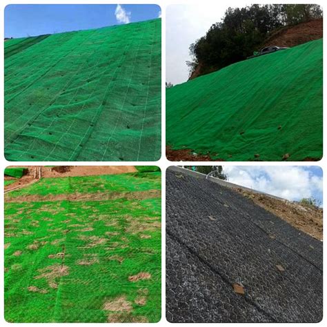 Supply Three Dimensional Plastic Grass Geomat 3d Erosion Control