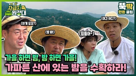 뚝딱뚝딱 자급자족 원정대 44회 밤 따러 가세♪ Youtube