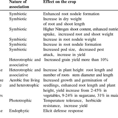 Crop Specific Nitrogen Fixing Bacteria Download Table