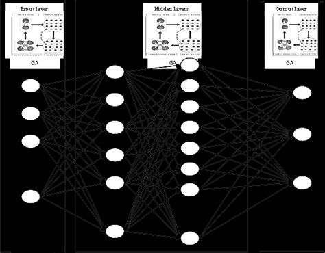 The Hybrid Multi Layer Perceptrons Of Genetic Algorithms Optimization