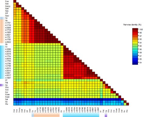 Color Coded Matrix Showing Pairwise Percentage Identity Of Xanthomonas