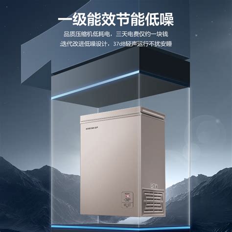 容声100升小冰柜家用冷柜小型保鲜冷冻两用节能迷你减霜冰箱囤货 虎窝淘