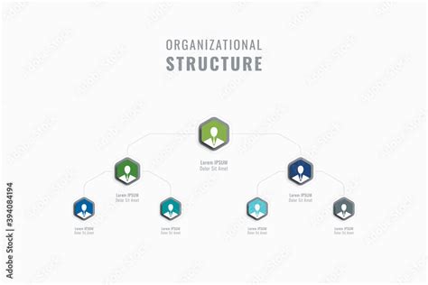 Vertical Business Hierarchy Of The Company Template Multicolor Vertical Business Hierarchy Of The Company Template Multicolor