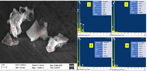 Sem Eds Of Paddy Straw Biochar Download Scientific Diagram