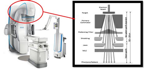Muhammad Lab Medical Physics Owls Radiation For Life Florida Atlantic University Charles