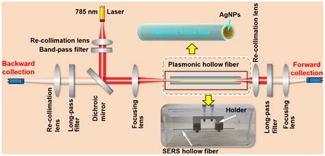 Multifold Enhanced Raman Detection Of Organic Molecules As Environmental Water Pollutants