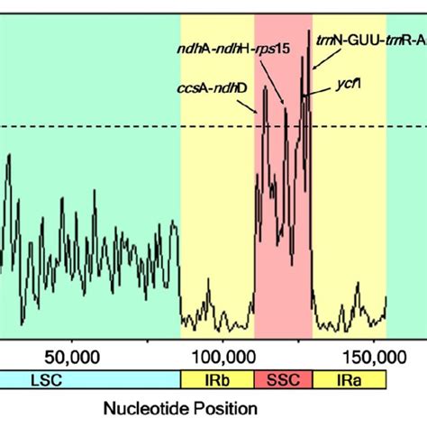Nucleotide Variability Values Were Compared Between The Six Barleria Download Scientific