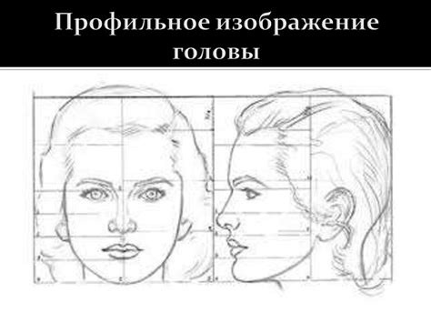 Конструкция головы человека и ее пропорции Online Presentation