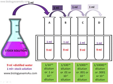 Serial Dilution Protocol Pdf ~ Biology Exams 4 U