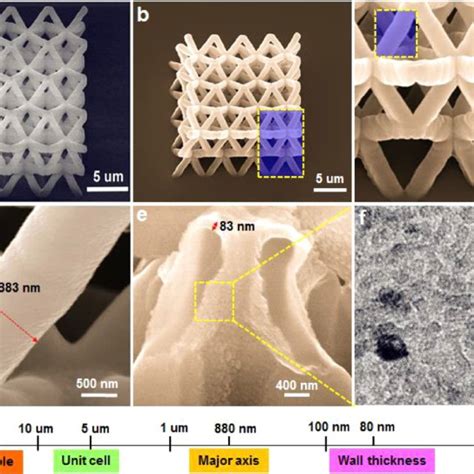 Hierarchical Structure Of The Composite Nanolattice With The Download Scientific Diagram