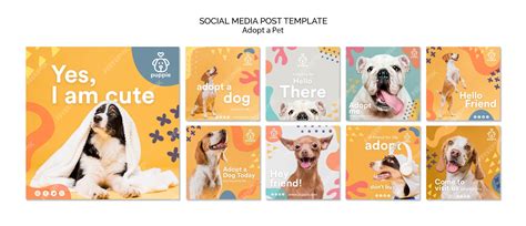 Adopta Una Publicación De Redes Sociales Para Mascotas Archivo Psd Premium