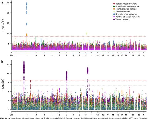 Figure 2 From The Genetic Architectures Of Functional And Structural Connectivity Properties
