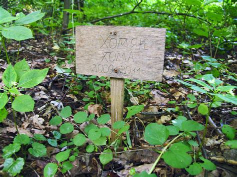 Кладбище домашних животных Пикабу