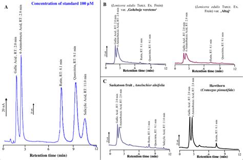 A Typical Hplc Ed Chromatogram Of Rutin Quercitrin Gallic Acid And Download Scientific