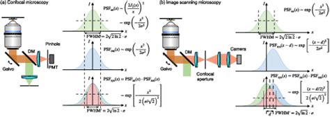 High Spatiotemporal Resolution Structured Illumination Microscopy Principles Instrumentation