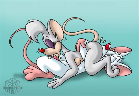 Post Animaniacs Billie Brainsister Pinky Pinky And The Brain