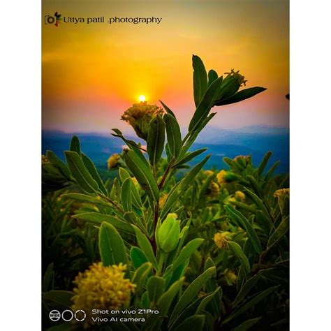 Uttam Patil Photography