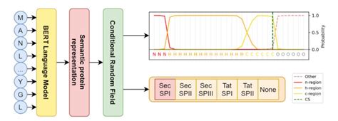 deeplearning bioinformatics biotechnology machinelearning felix teufel