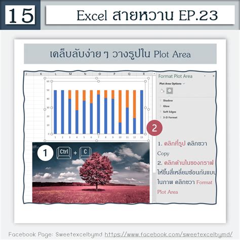 ตัวอย่าง กราฟแท่ง สวย ๆ Ep 23 สร้างกราฟสวยด้วยรูปภาพ Sweet Excel