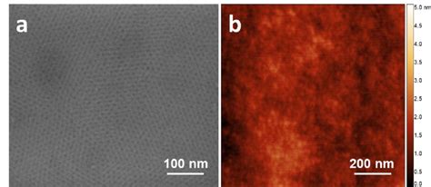 Figure S2 Top View Scanning Electron Microscopy Image A And Atomic Download Scientific