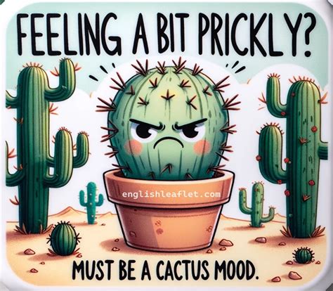 140 One Liner Cactus Puns For Teachers And Instagram Englishleaflet