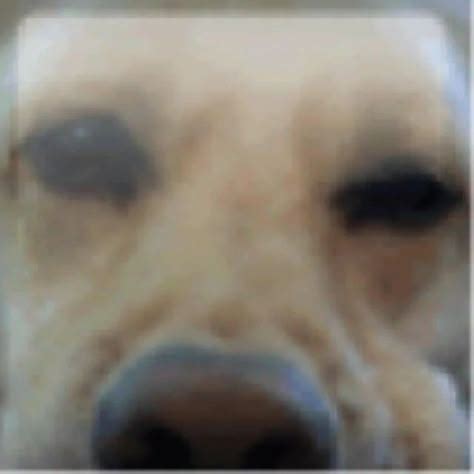 Xbox 360 Pfp