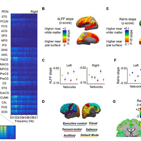 Cortical Depth Dependent Resting State Activity A Mean Download