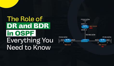 The Role Of DR And BDR In OSPF Everything You Need To Know