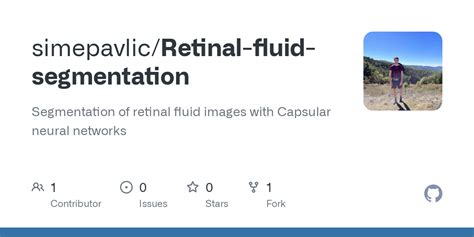 Github Simepavlicretinal Fluid Segmentation Segmentation Of Retinal Fluid Images With