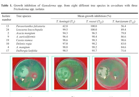 Antagonistic Ability Of Three Trichoderma Isolates Varied Towards