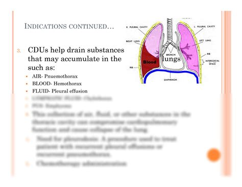 Solution Pleural Effusion Nursing Care Plan Management Studypool