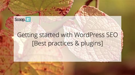 Getting Started With Wordpress Seo Best Practices And Plugins Scoop