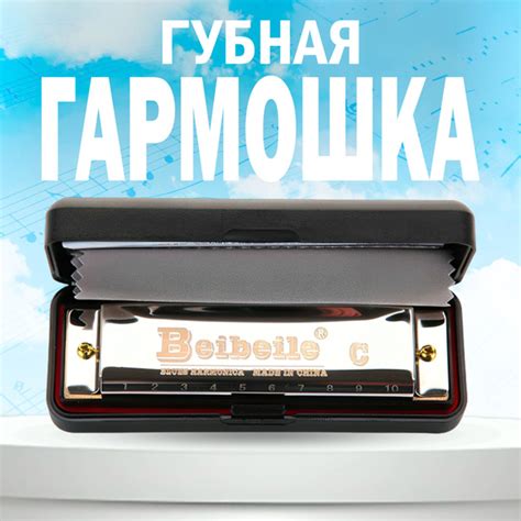 Губная гармошка с футляром, диатоническая, тональность С, музыкальный ...
