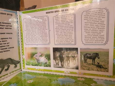 Хэрэгтэй Хэвлэл Ухаант туулайн үлгэр Ширээний макет Facebook