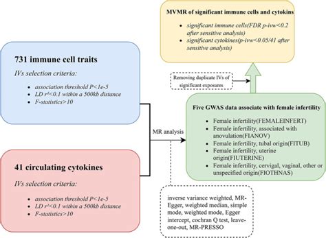 Genetically Predicted Circulating Immune Cells And Cytokines Reveal The Causal Role Of Immune