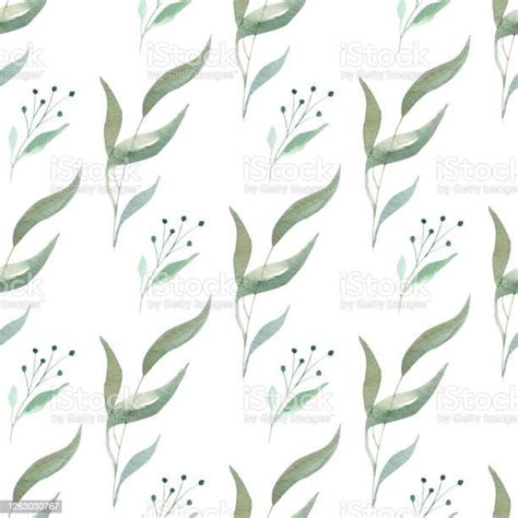 수채화 녹지 원활한 패턴 식물 성 가지와 디지털 종이를 떠난다 그리기에 대한 스톡 벡터 아트 및 기타 이미지 그리기 나뭇가지 식물학 Istock