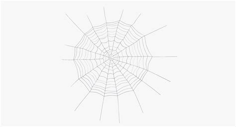 3d Spider Web Model Turbosquid 1344251