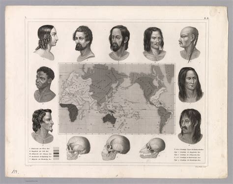 Plate 119 The Five Races Of Mankind Blumenbach View Anatomy