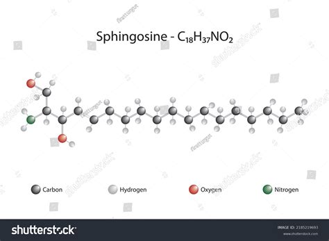 Sphingosine Structure