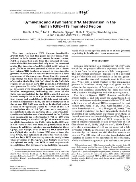 Pdf Symmetric And Asymmetric Dna Methylation In The Human Igf2 H19 Imprinted Region