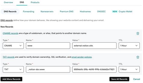 Connect A Custom Domain With Notion Sites Notion Help Center