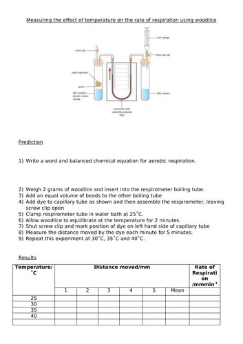 Respirometer Method Data Processing And Evaluation Teaching Resources
