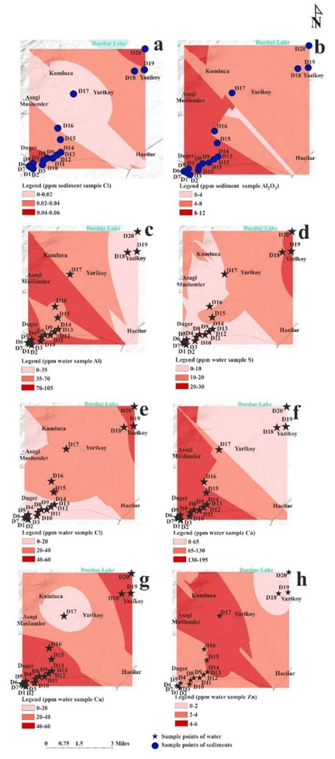 Spatial Distribution Maps Of The Elemental Concentrations A Cl