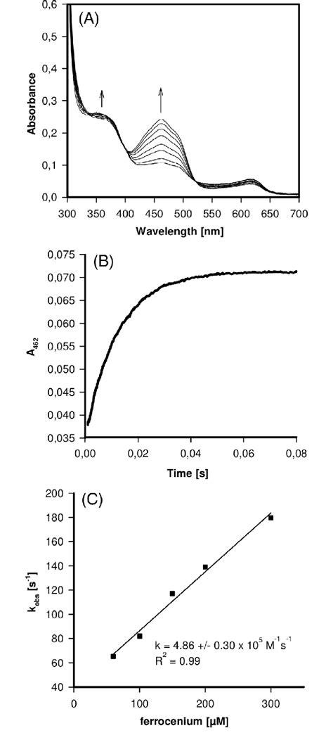 Oxidative Half Reaction Of Ampdh Followed By Stopped Flow Spectroscopy Download Scientific