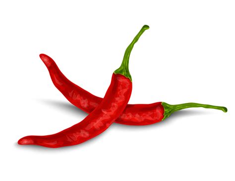 Chilli Pepper Drawing At Jorja Helms Blog