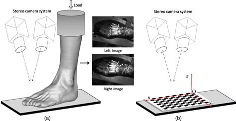 Real Time Three Dimensional Digital Image Correlation For Biomedical
